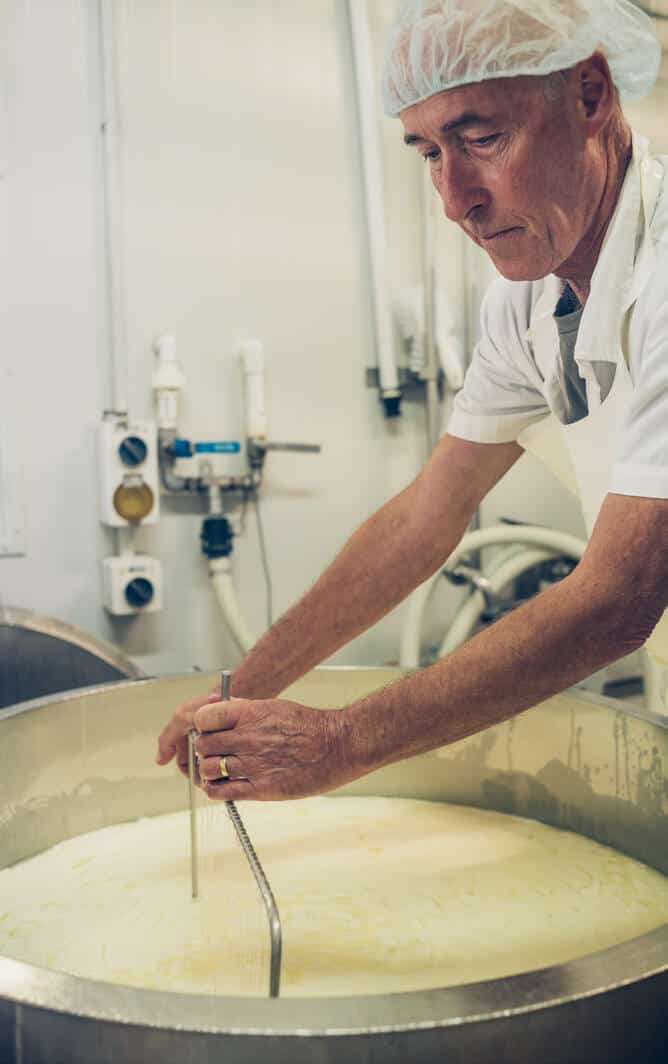 The Big Cheese | BayBuzz