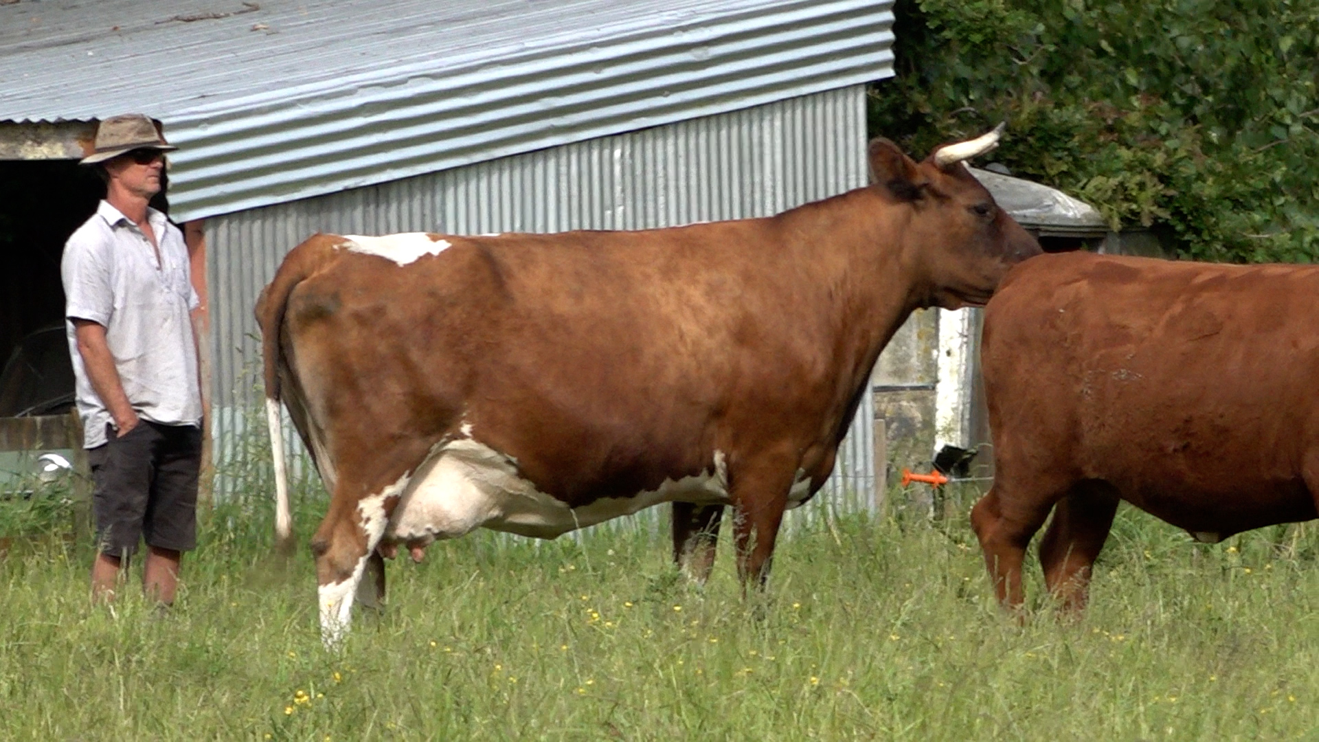 Behind the Organic Farm Butchery | BayBuzz
